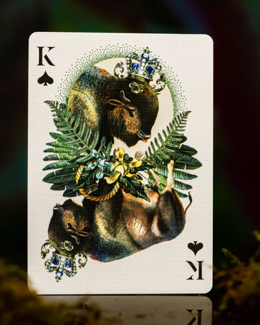 EXTINCT ANIMALS theory11 playing cards cardistry & magic – Paperdecks