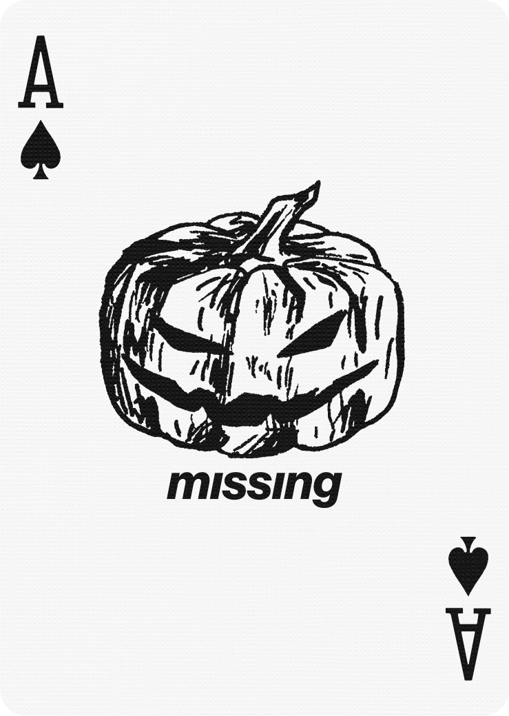 MISSING NEW YORK playing cards cardistry, collage, fontaine, databends ...